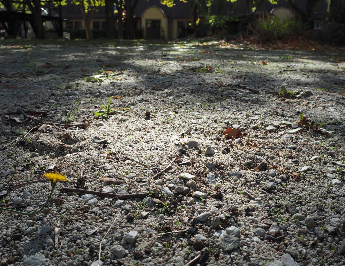 Dokumentation – Alte Patrone